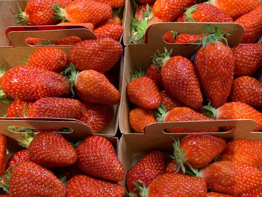 Fraise Gariguette 250gr - Saveurs de nos Terroirs