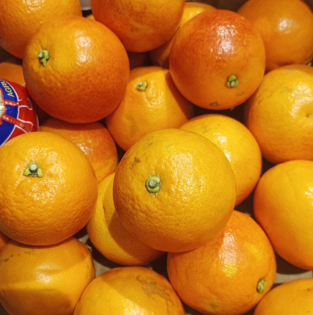 Orange Tarocco - Saveurs de nos Terroirs